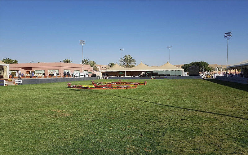 Arabian Horse Center